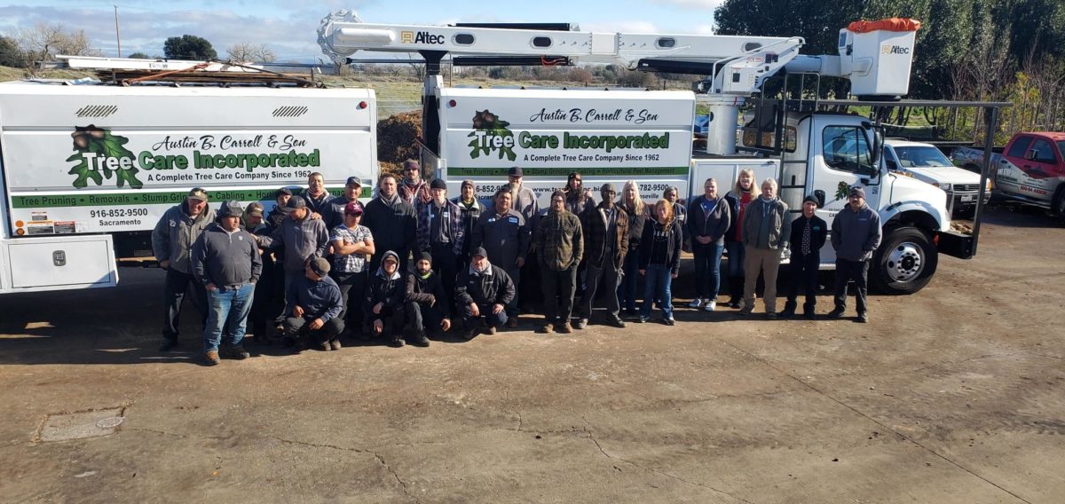 About Us | Best Tree & Arborist Services Near You | Tree Care Incorporated